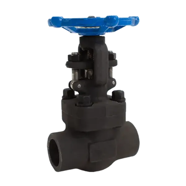 NCI Forged Gate, Globe & Check Valves – Inland Valve Corporation